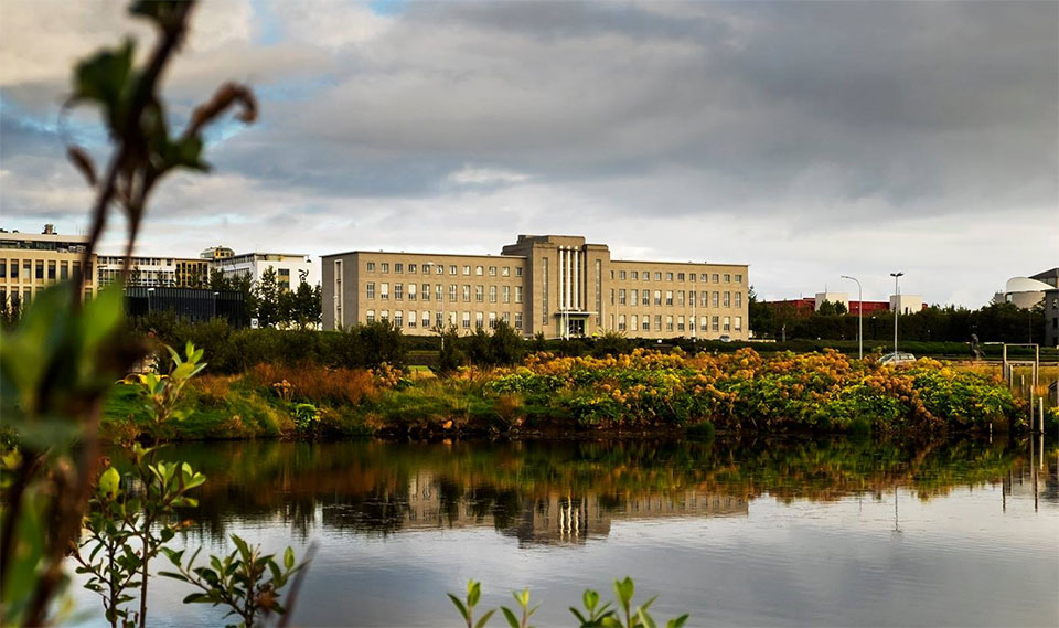 Admission to Iceland — requirements, documents, legalization